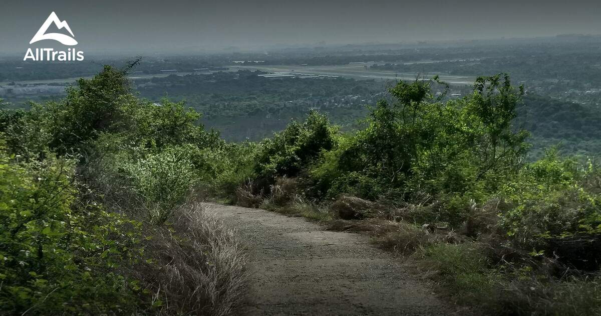 Best hikes and trails in Vandalur Forest Reserve | AllTrails