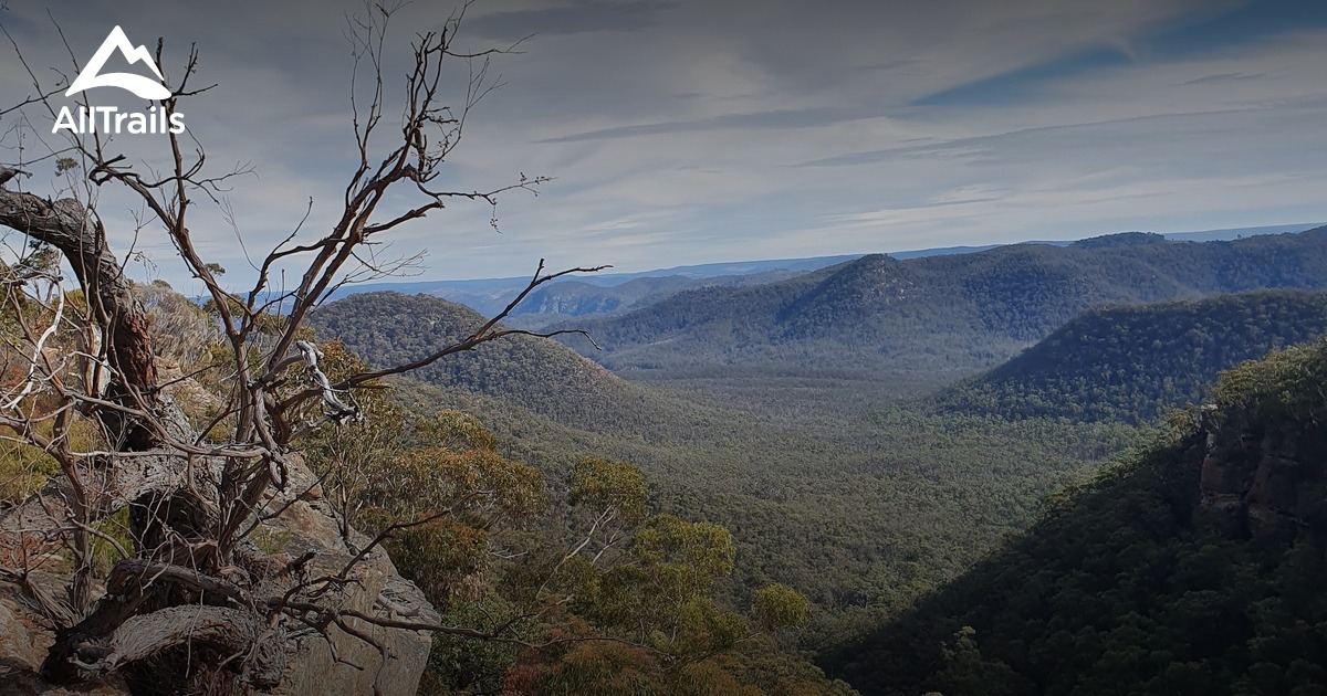 Best hikes and trails in Joadja Nature Reserve | AllTrails