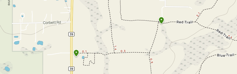 Best Hikes and Trails in Alafia River Corridor South | AllTrails