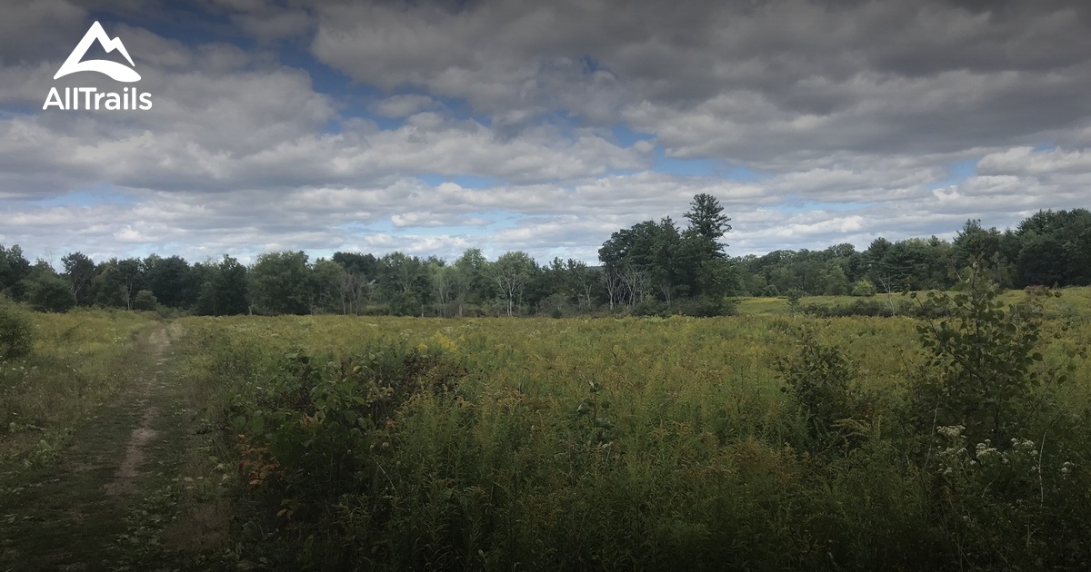 Best hikes and trails in Oyster River Forest | AllTrails