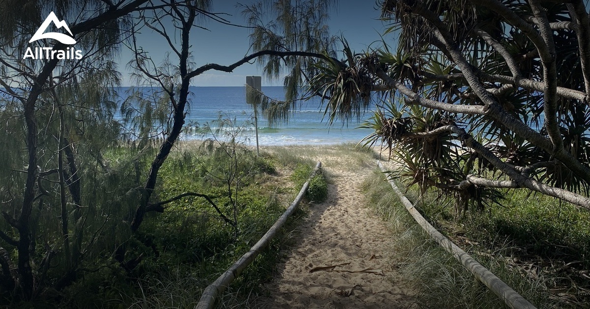 Best hikes and trails in Warana Bushland Reserve | AllTrails