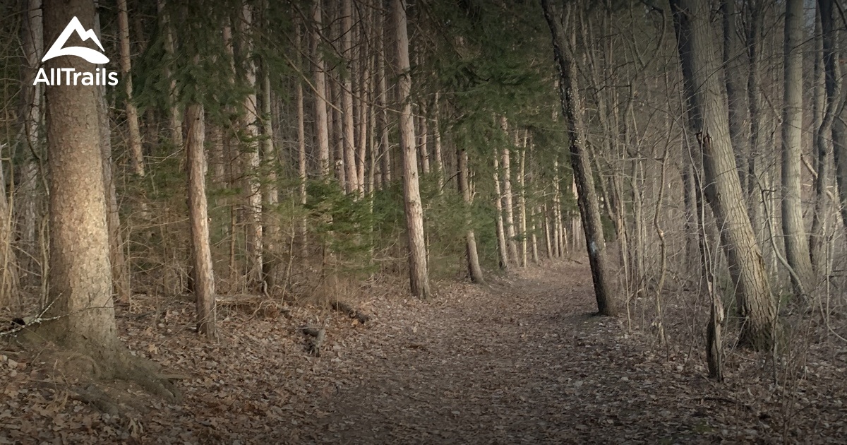 Best hikes and trails in Richardson Community Center and Park | AllTrails
