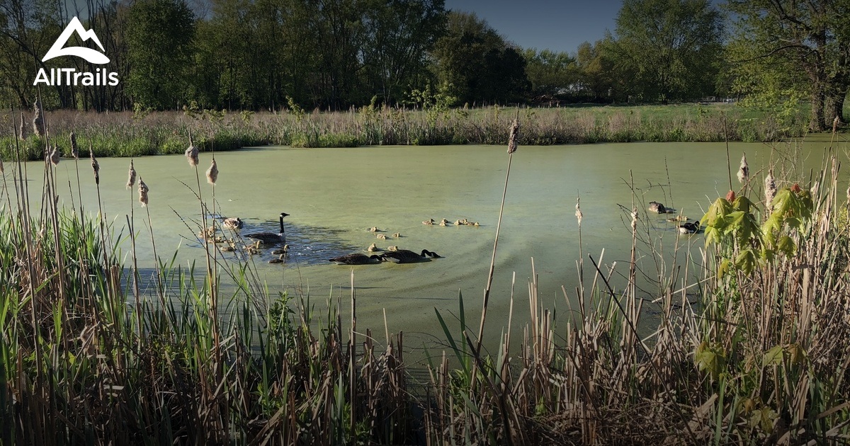 Die Besten Flusswege in Nyquist-Harcourt Wildlife Sanctuary | AllTrails