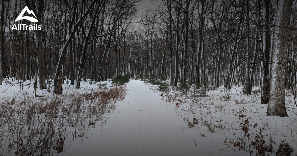 Best hikes and trails in Sand Point Nature Preserve | AllTrails