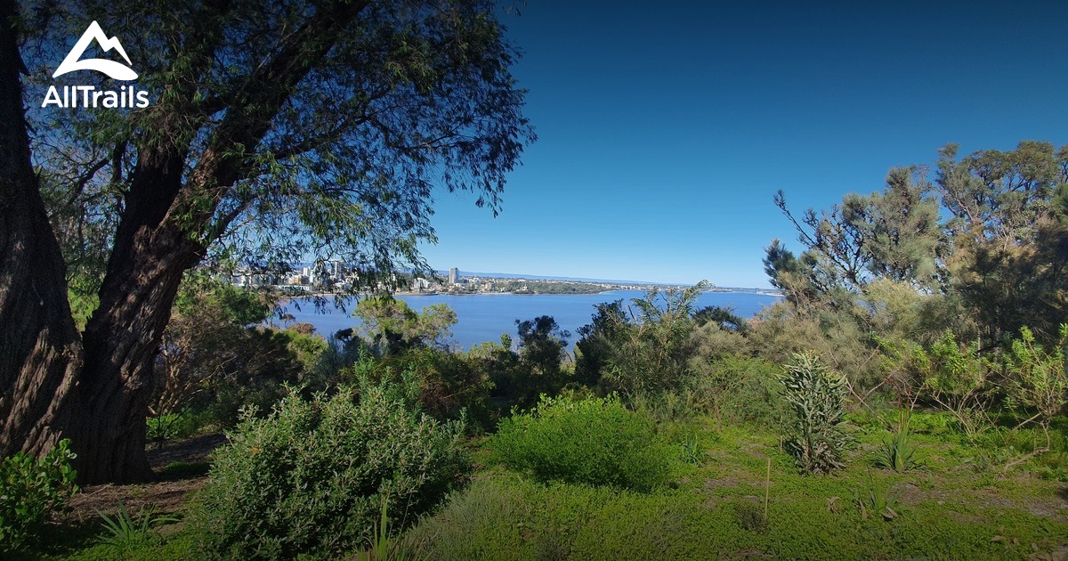 10 Best hikes and trails in King's Park | AllTrails