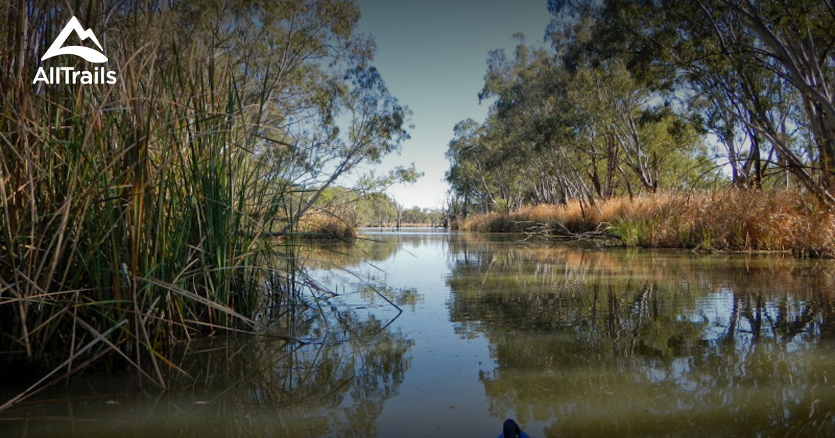 Loch Luna Game Reserve : les meilleurs itinéraires pour camper | AllTrails