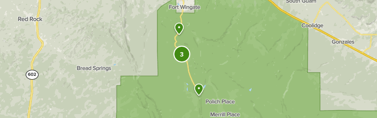 Best 10 Trails in Zuni Mountain Trail System | AllTrails