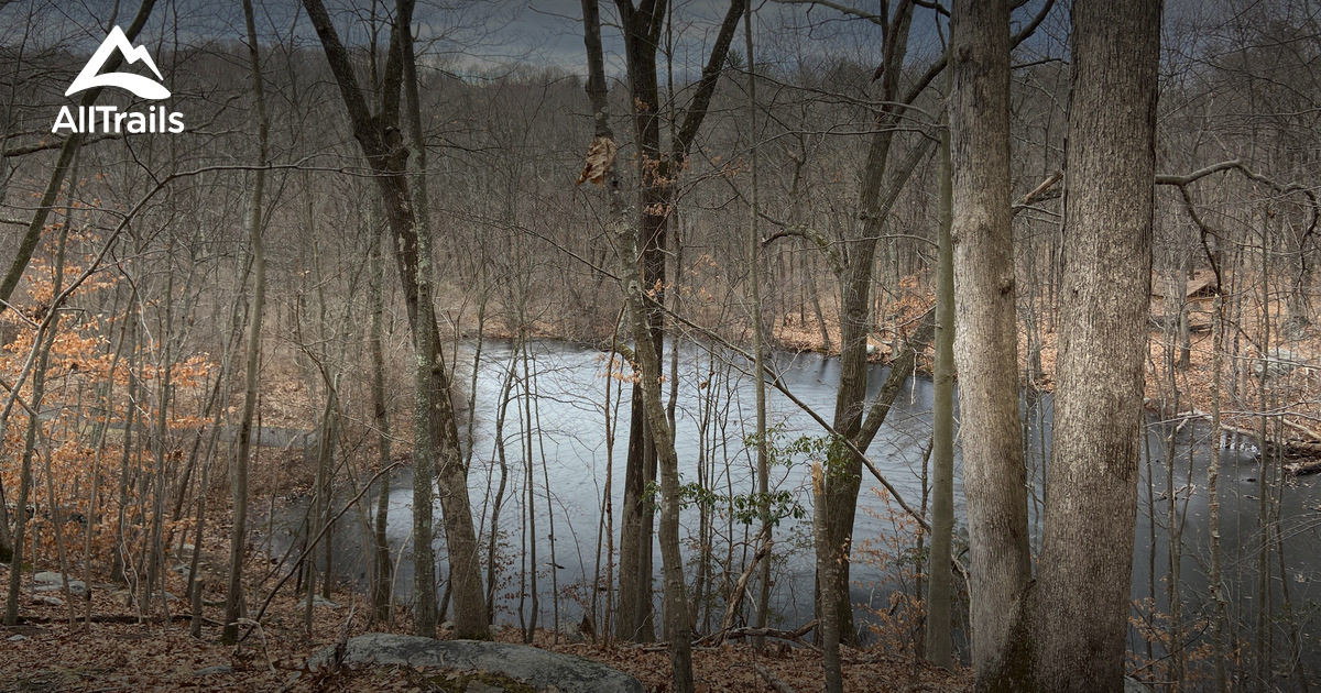 Best hikes and trails in Fred Dill Wildlife Sanctuary | AllTrails