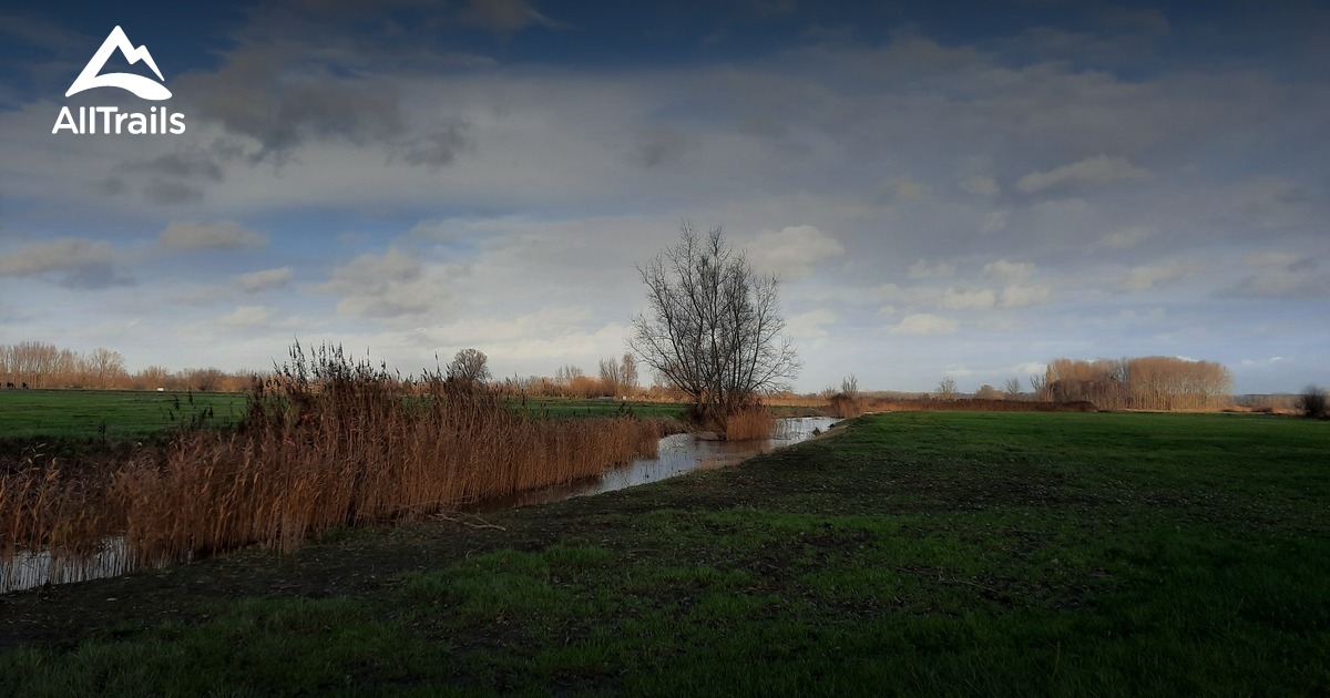 Kalkense Meersen: de beste routes om te wandelen | AllTrails