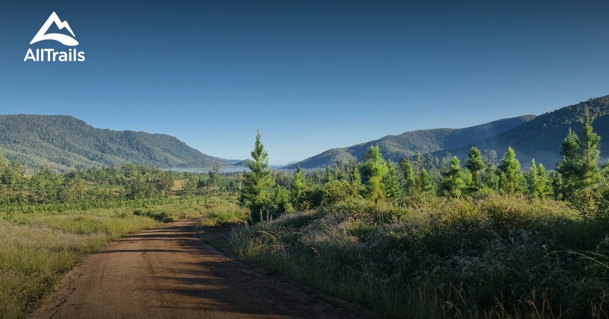 Best hikes and trails in Cathu State Forest | AllTrails
