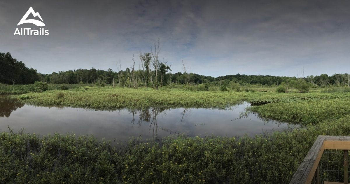 Best trail running trails in Conestee Nature Preserve | AllTrails