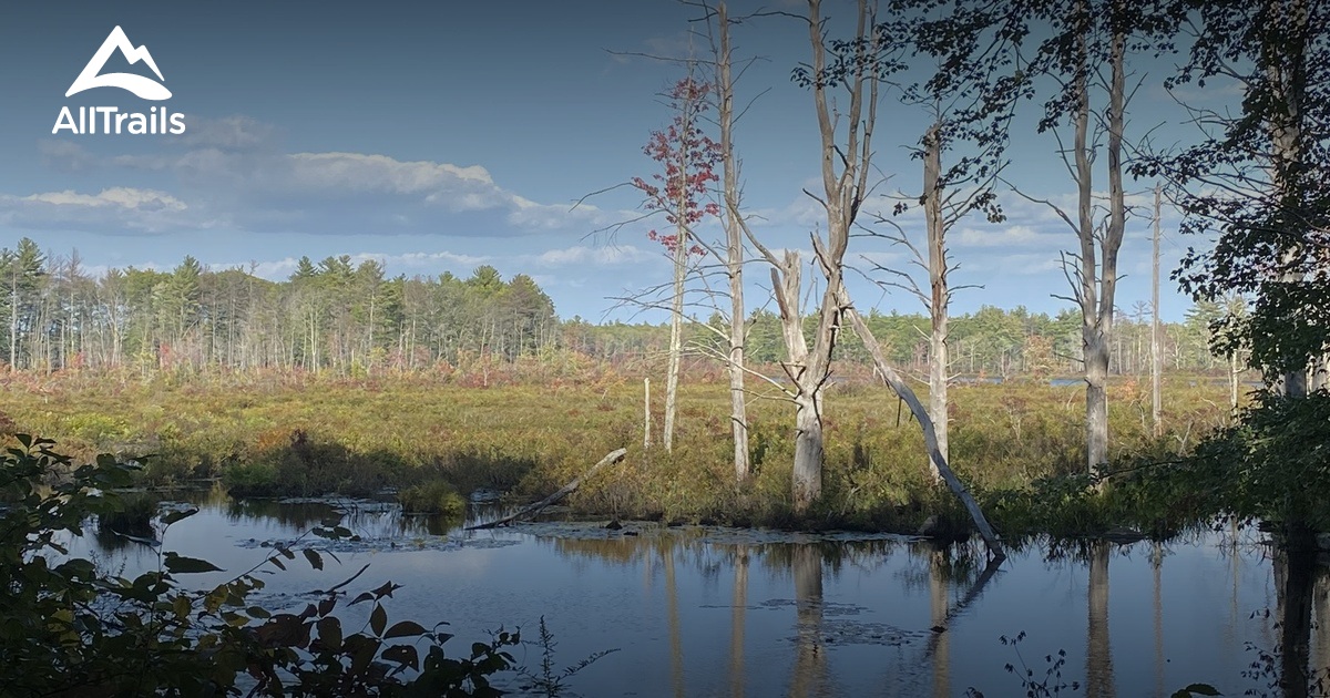 Rocky Hills Preserve: de beste routes om te wandelen | AllTrails