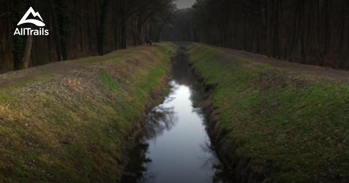 Best easy trails in Schwetzinger Hardt | AllTrails