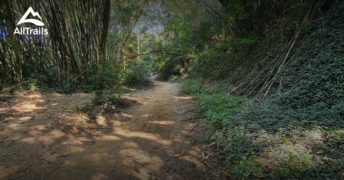 Bästa skogslederna i Serra da Tiririca State Park | AllTrails