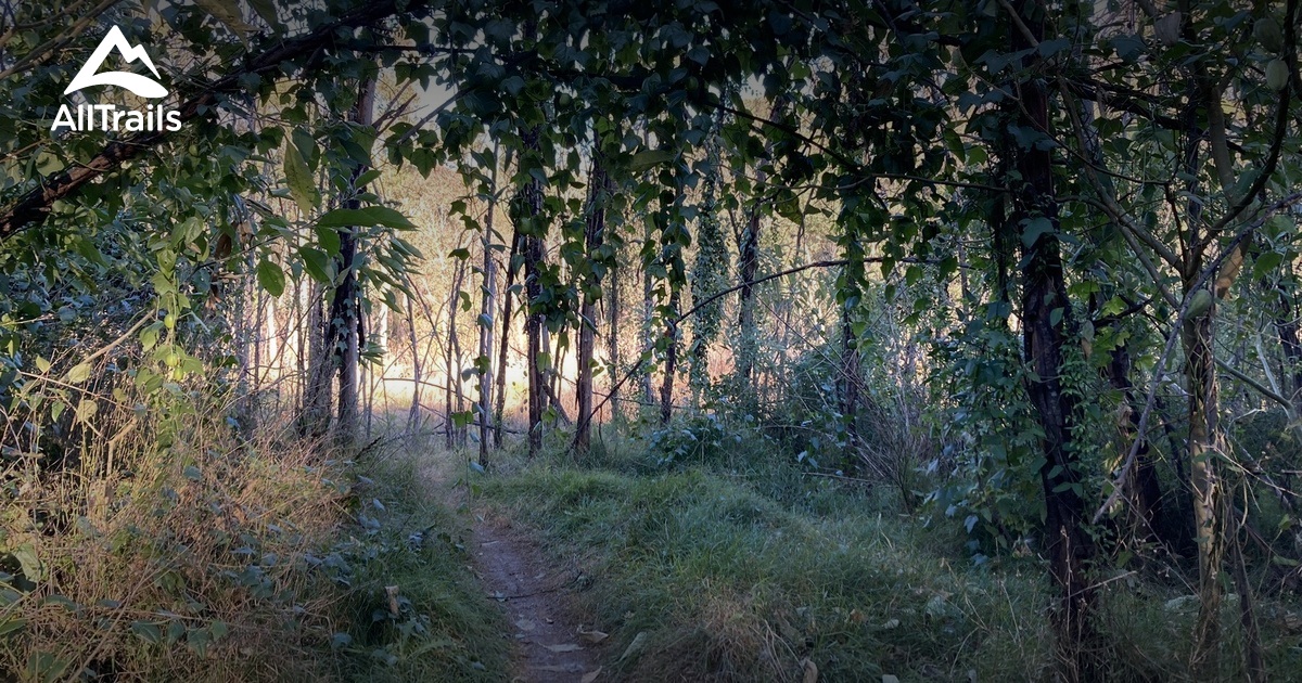 Best hikes and trails in Mulgoa Nature Reserve | AllTrails