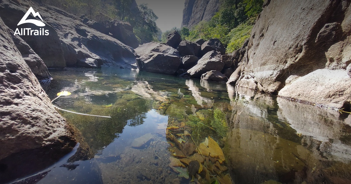 Best camping trails in Tamhini Wildlife Sanctuary | AllTrails