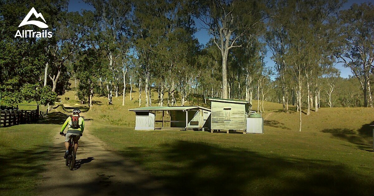 Best hikes and trails in Jimna State Forest | AllTrails