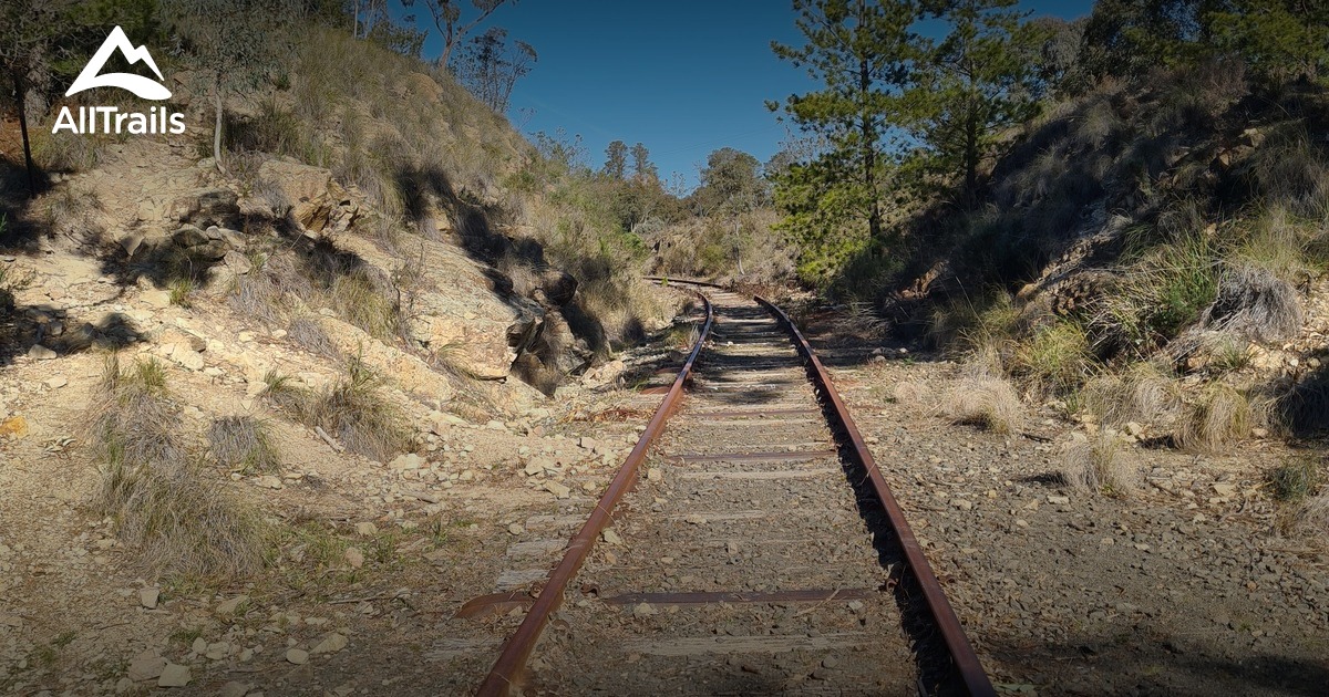 Best hikes and trails in Tuggeranong Pines | AllTrails