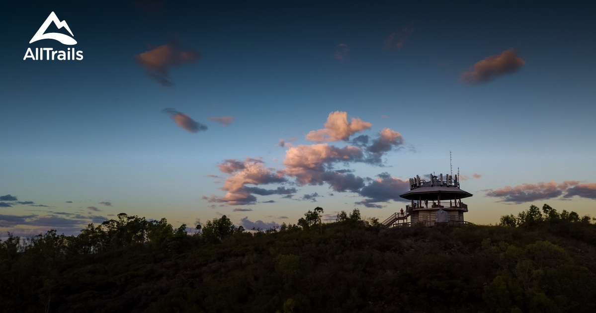 Best walking trails in Beerburrum East State Forest | AllTrails