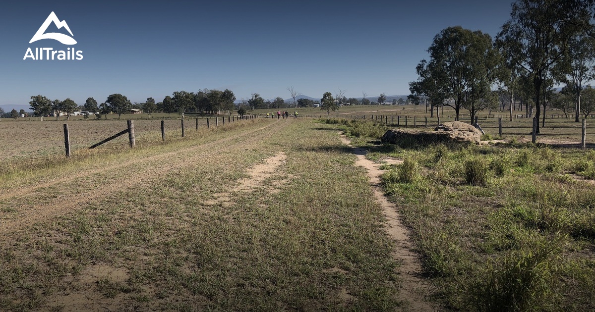 Best hikes and trails in Benarkin State Forest | AllTrails