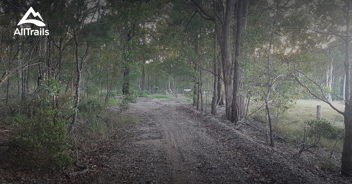 Best hikes and trails in Buccan Conservation Park | AllTrails