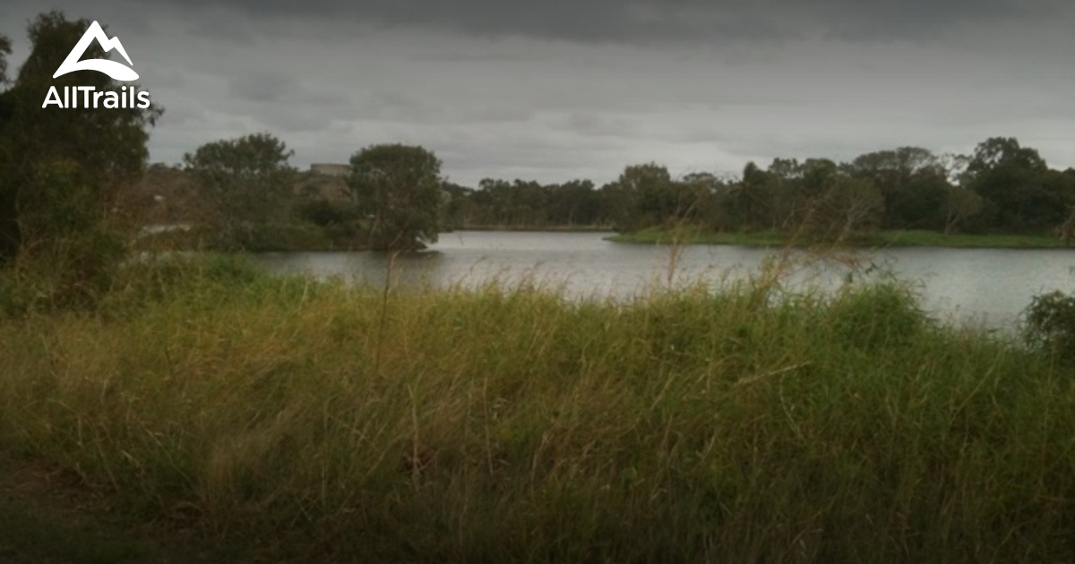 Best hikes and trails in Davidson Park | AllTrails