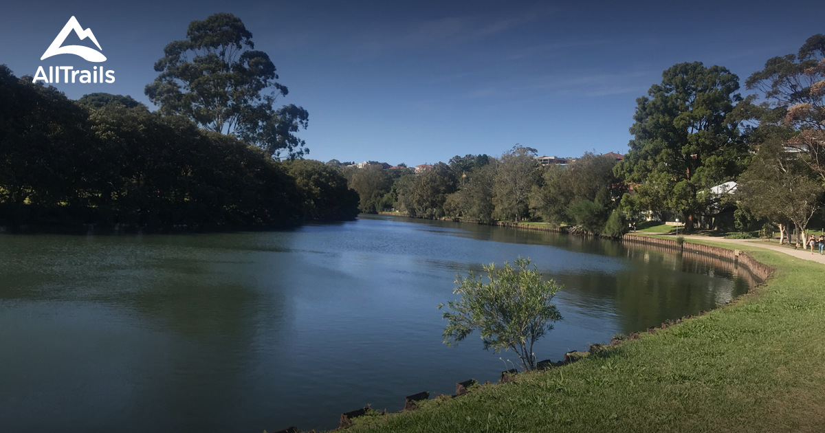 Best hikes and trails in Beaman Park | AllTrails