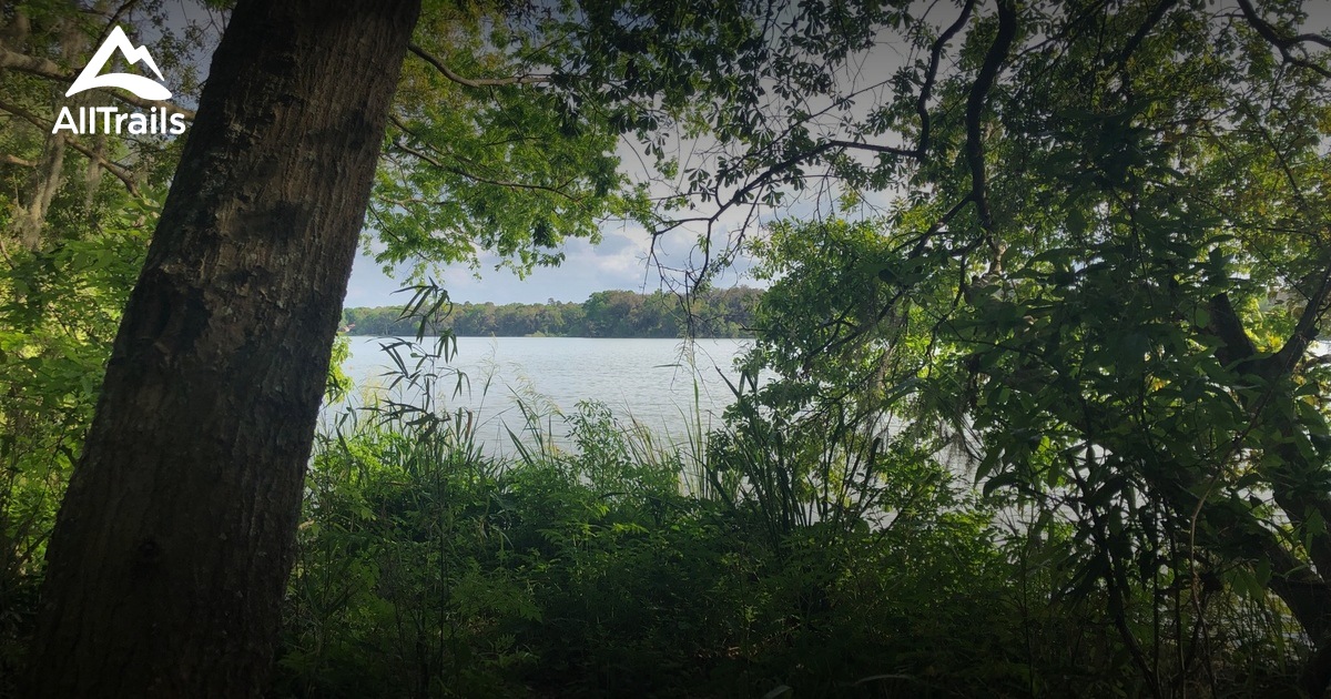 Best hikes and trails in Bivens Arm Nature Park | AllTrails