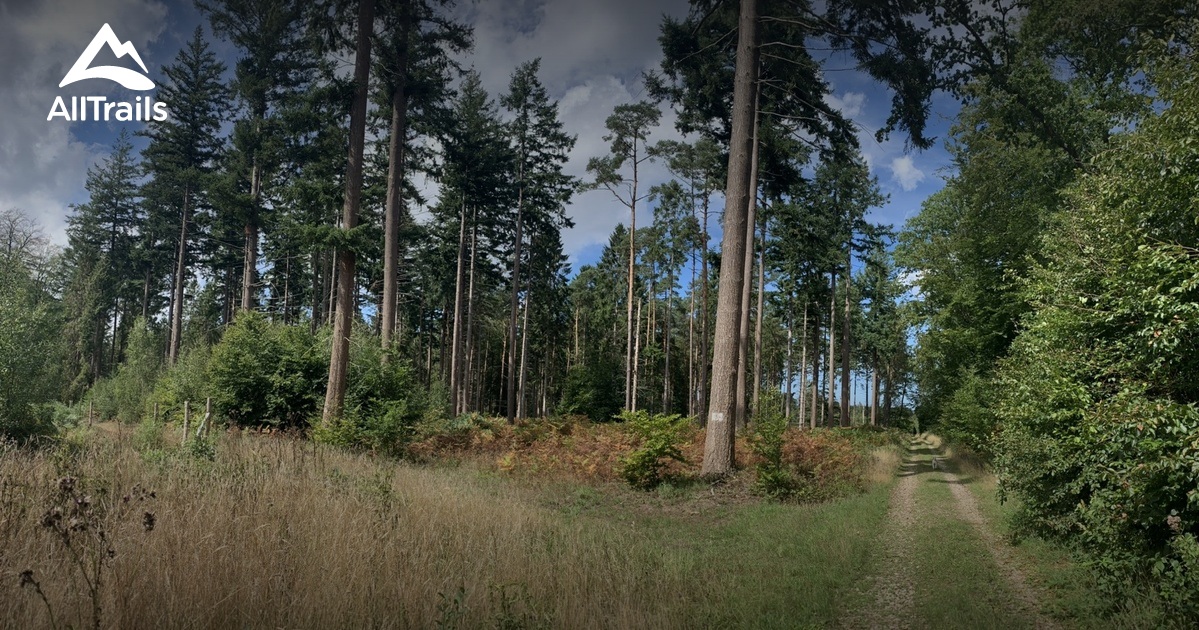 Best forest trails in Forêt Domaniale d'Arques | AllTrails