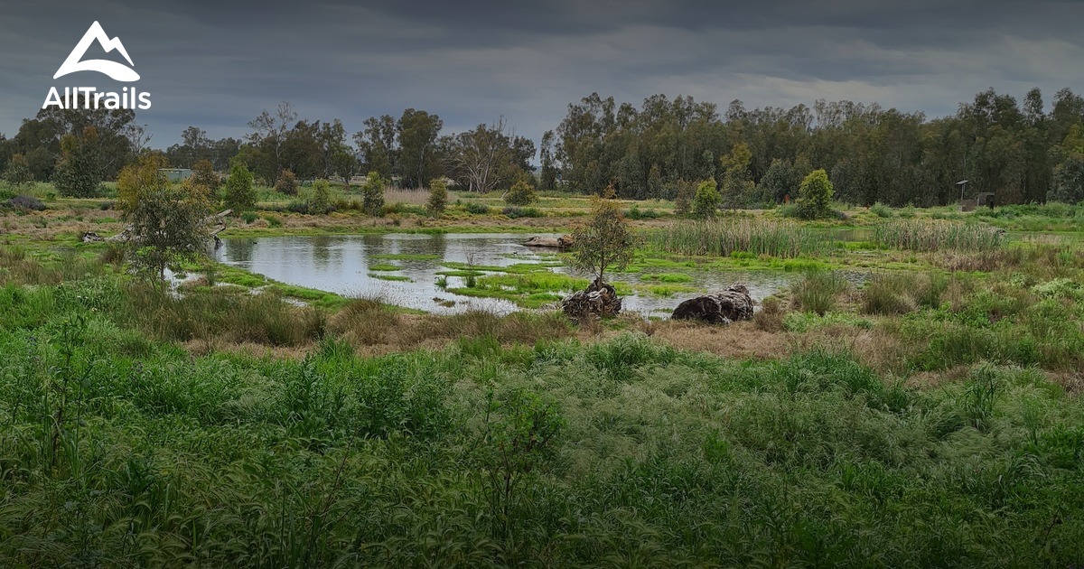 Best hikes and trails in Wiradjuri Reserve | AllTrails