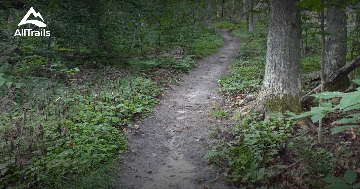 Best hikes and trails in Offield Family Working Forest Reserve | AllTrails