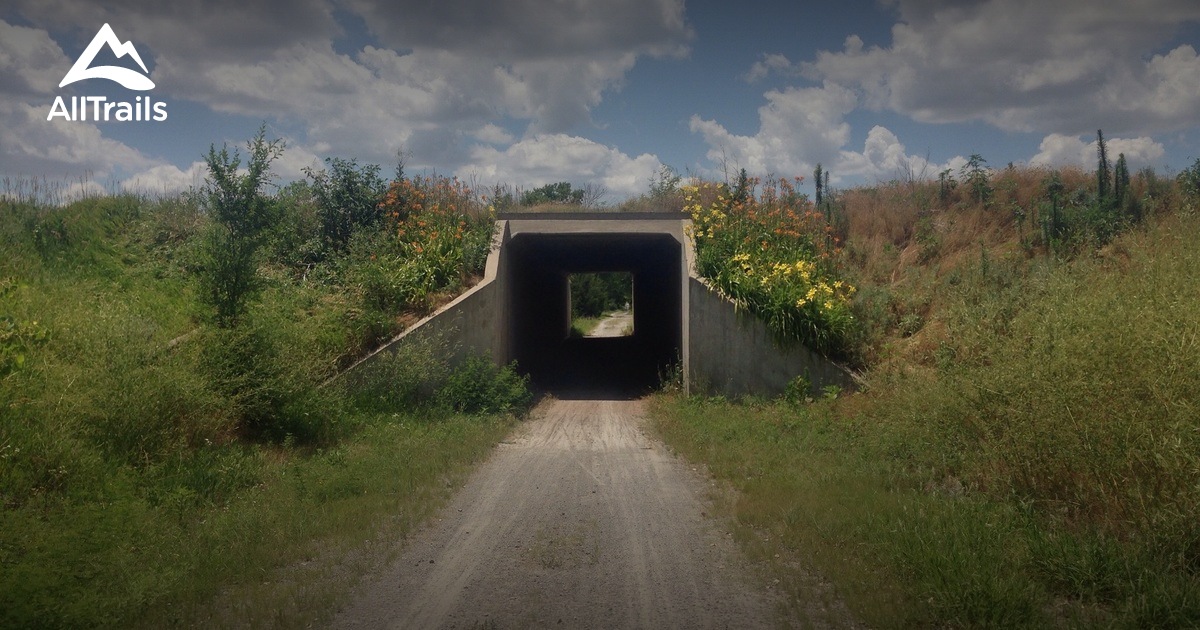 Best hikes and trails in Linear Park | AllTrails