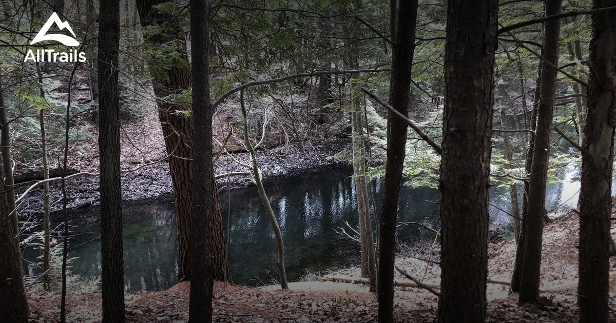 Best hikes and trails in Clear Springs Nature Preserve | AllTrails