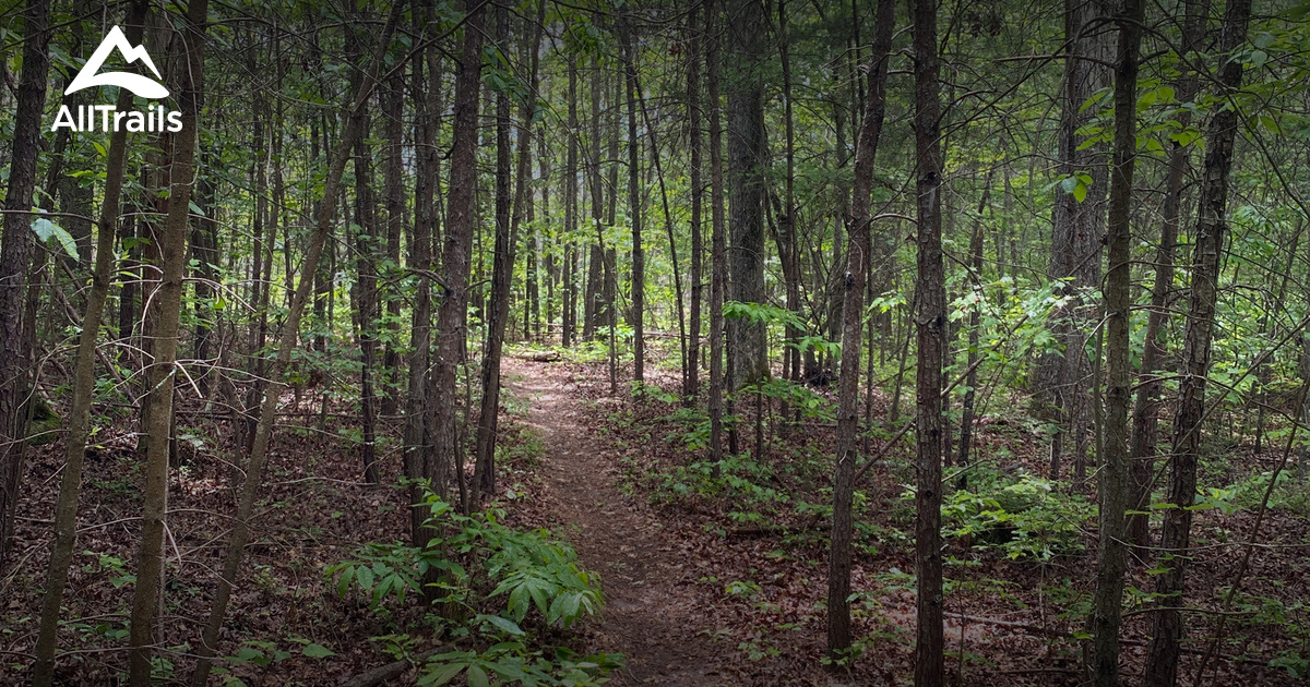 Best hikes and trails in Duke Forest Edeburn Division | AllTrails
