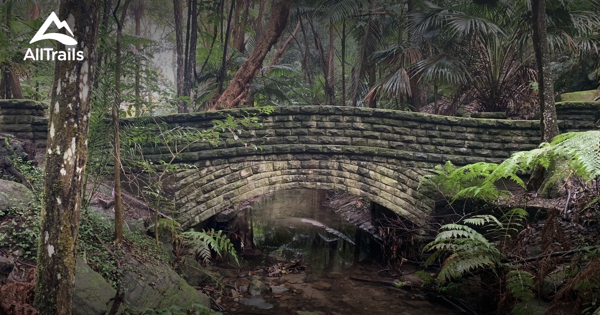 Best hikes and trails in Cooper Park | AllTrails