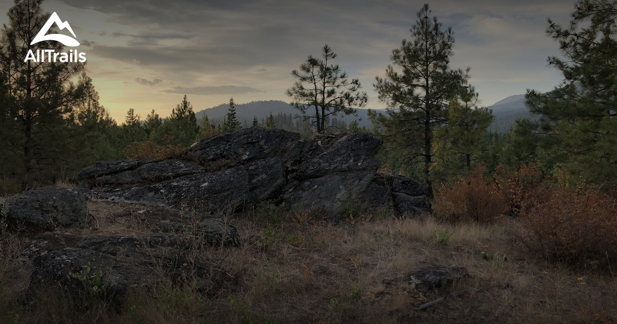 Best hikes and trails in Hauser Conservation Area | AllTrails