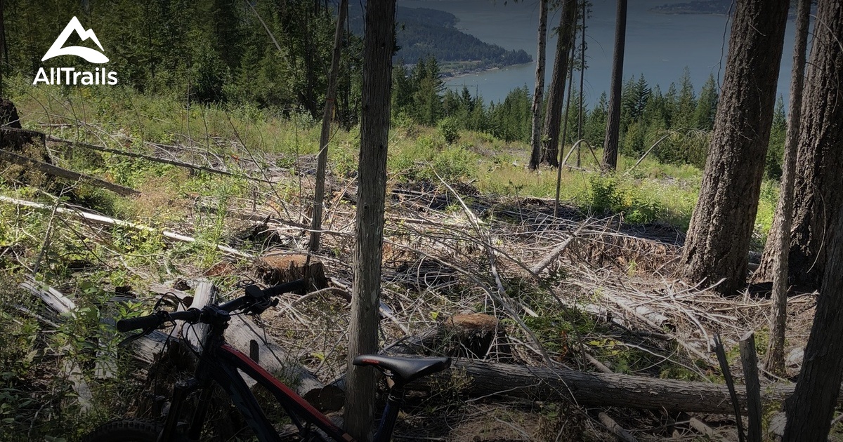 Best hikes and trails in Rubberhead Trail System | AllTrails