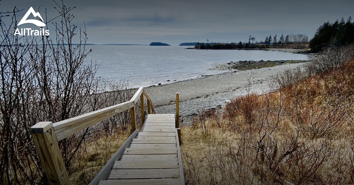 Best hikes and trails in Long Point Preserve | AllTrails