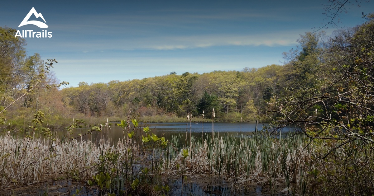 Best Hikes and Trails in North Attleboro Fish Hatchery | AllTrails