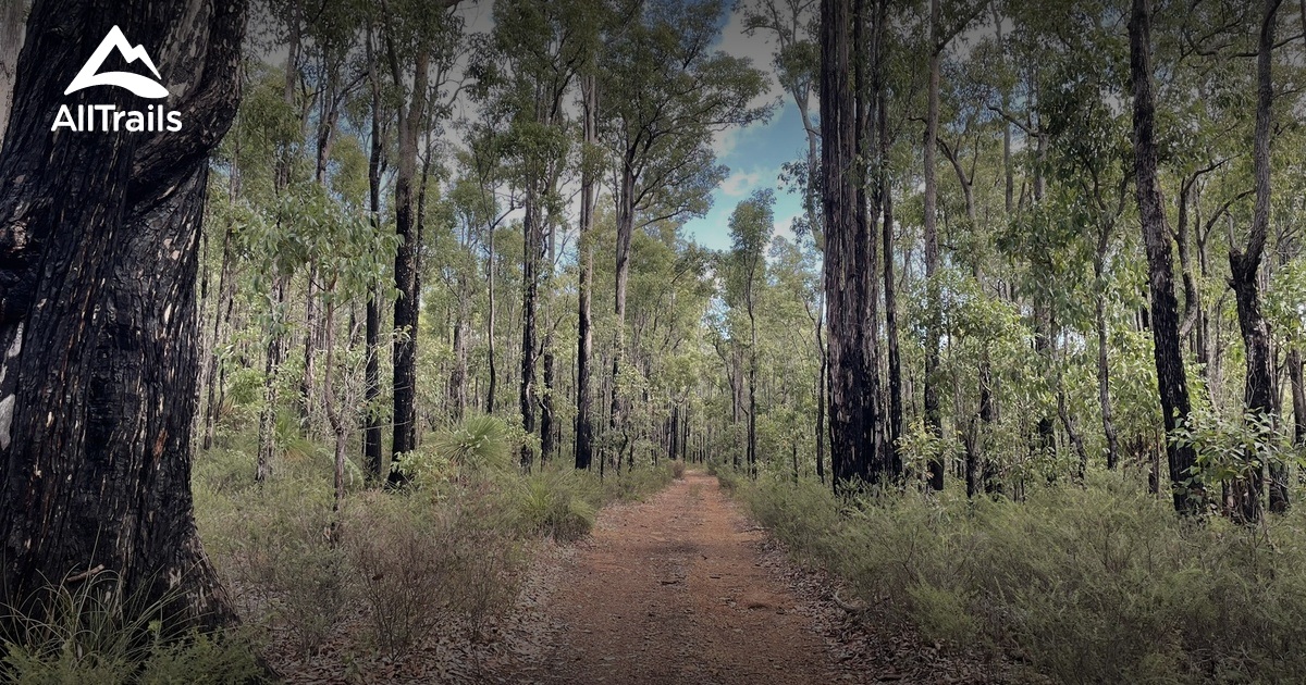 Best hikes and trails in Arklow Forest | AllTrails