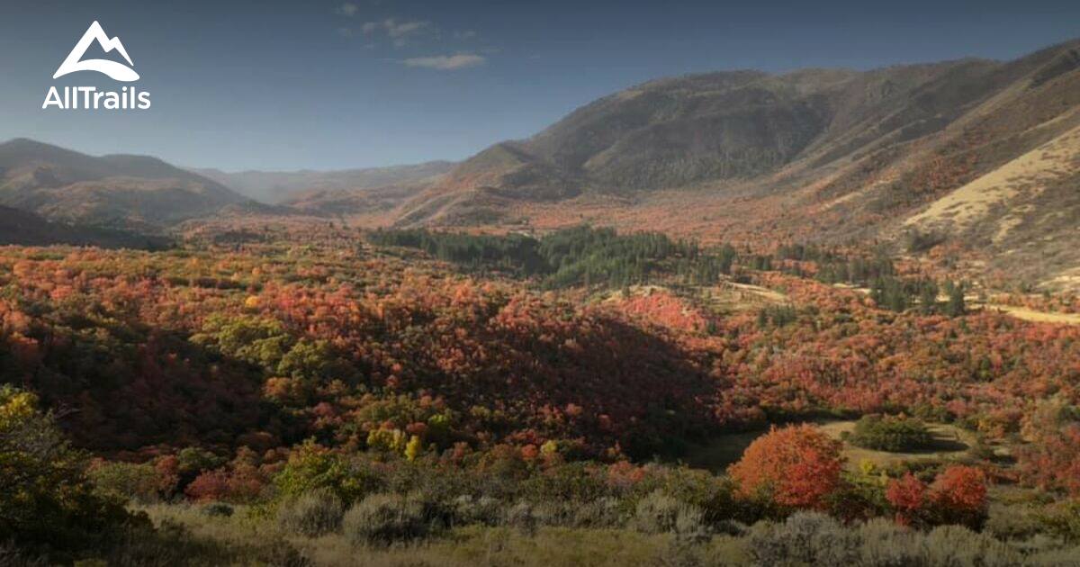 Forebay Recreation Area: Die besten Routen zum Wandern | AllTrails