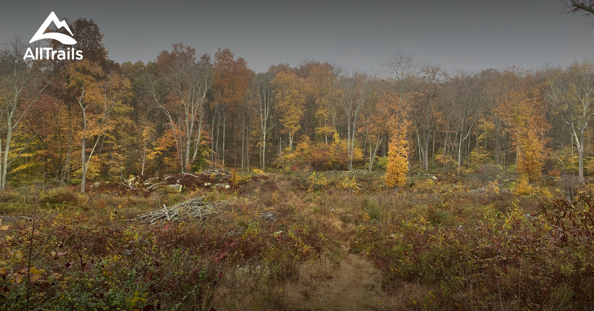 Best hikes and trails in Morgan R. Chaney Sanctuary | AllTrails