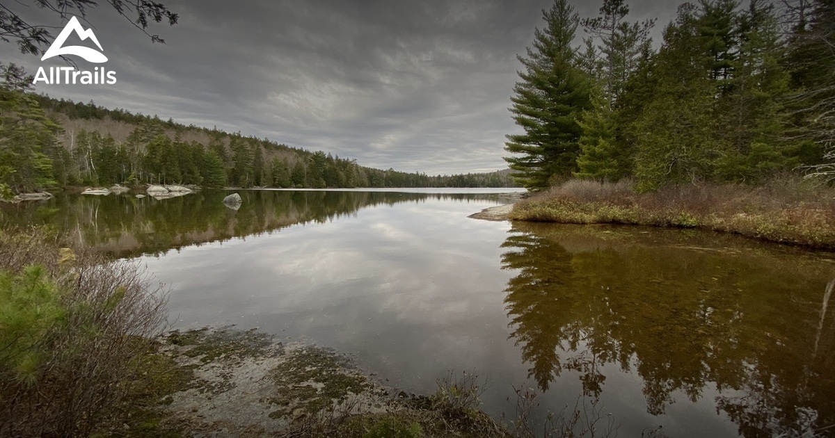 Best views trails in Amherst Mountains Community Forest | AllTrails