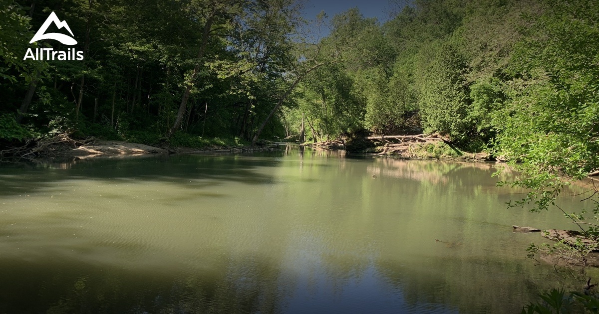 Clifton Gorge State Nature Preserve : les meilleures randonnées faciles ...
