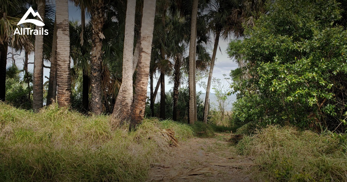 Best hikes and trails in Sabal Bluff Preserve | AllTrails