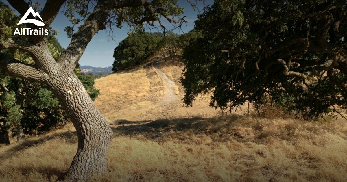 Best hikes and trails in Hidden Lakes Open Space | AllTrails