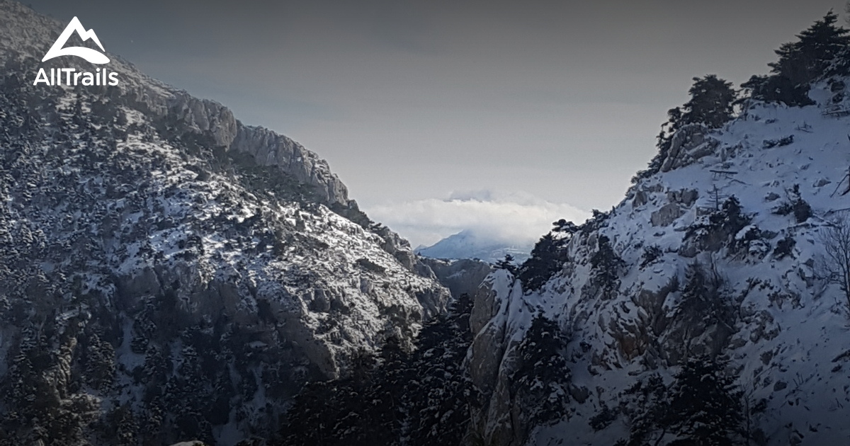 10 Best hikes and trails in Mount Parnitha National Park | AllTrails