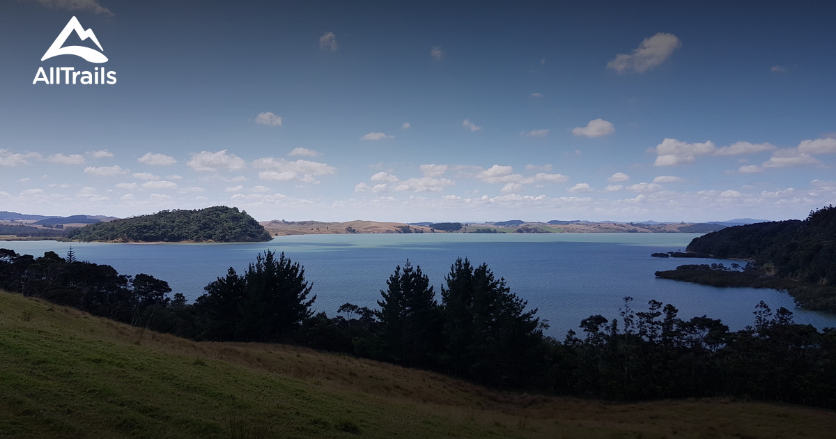 Best hikes and trails in Ātiu Creek Regional Park | AllTrails