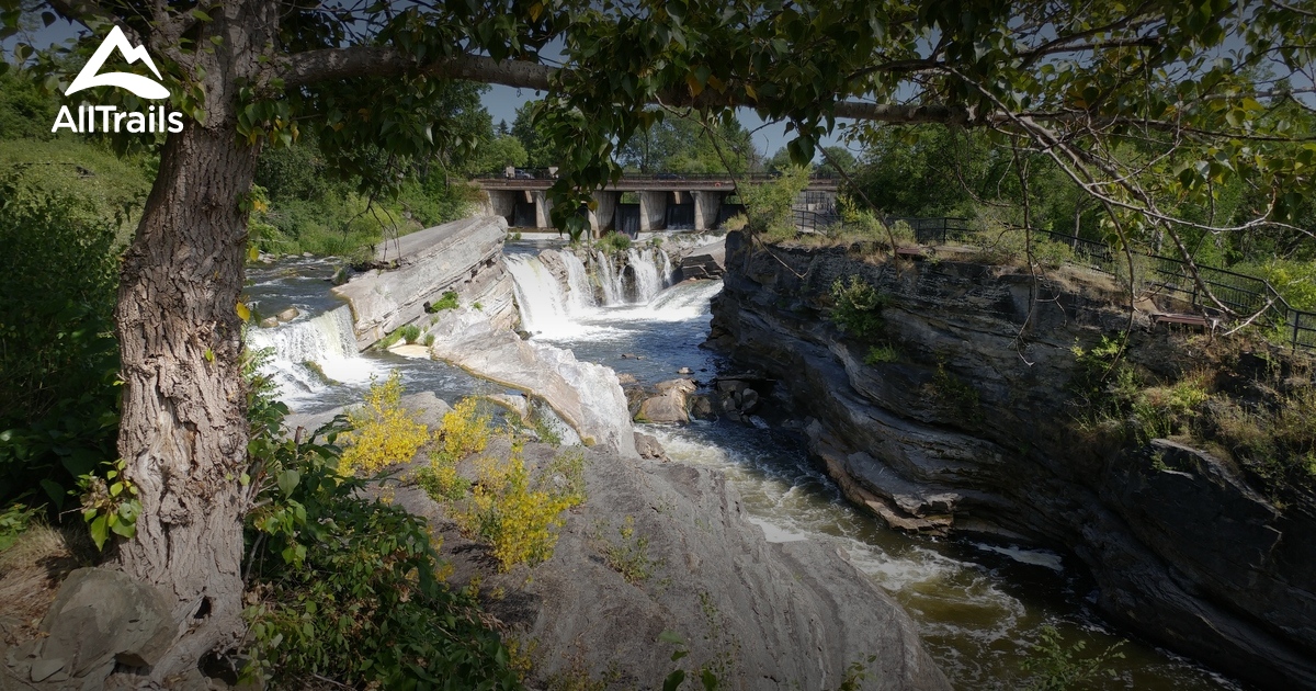 Best hikes and trails in Hog's Back Park | AllTrails