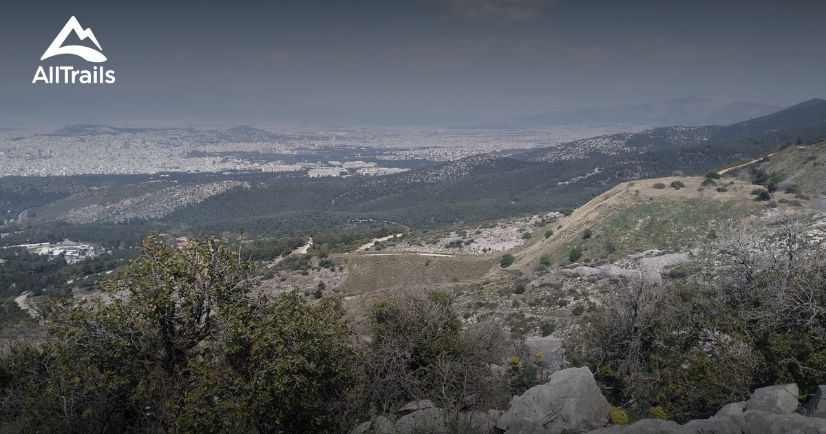 10 Best hikes and trails in Imitos Aesthetic Forest | AllTrails